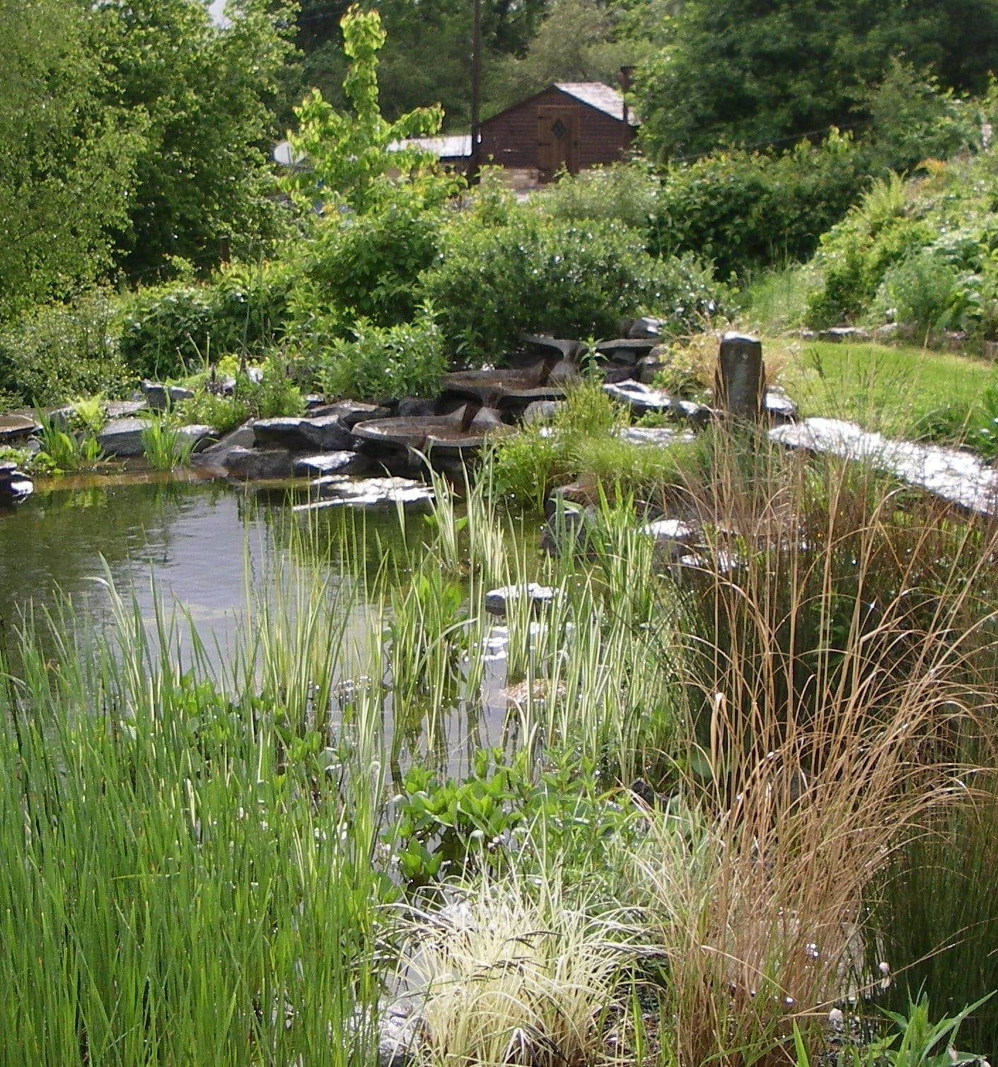 Natural Swimming Pools - Ebb and Flow Ltd UK